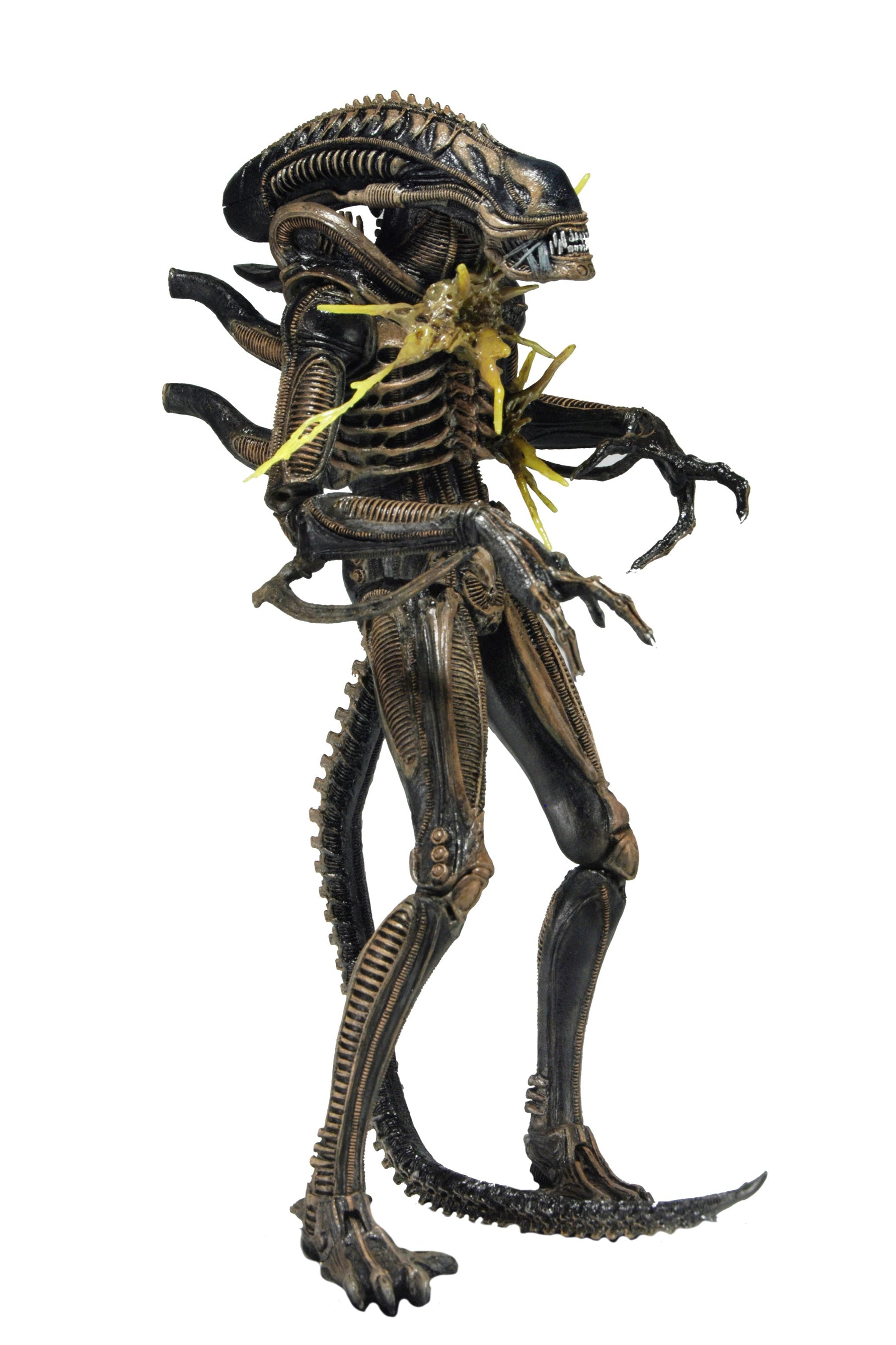 Aliens - Series 12 - Battle Damaged Aliens Warrior 7" Scale Action Fig ...