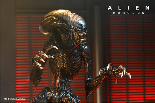 Alien: Romulus Ultimate Scorched Xenomorph 7-inch Scale Action Figure ...