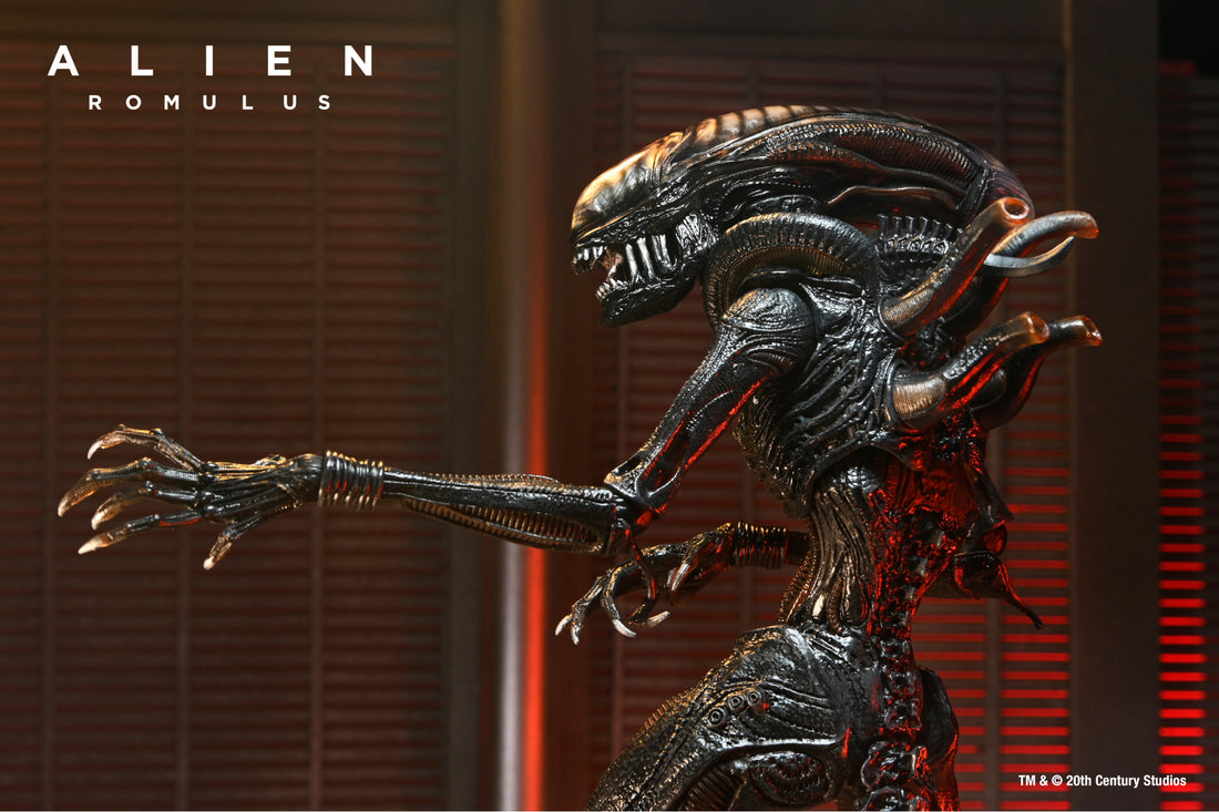 Alien: Romulus Ultimate Scorched Xenomorph 7-inch Scale Action Figure ...