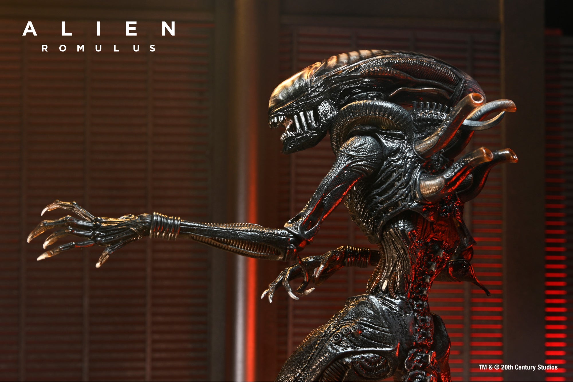 Alien: Romulus Ultimate Scorched Xenomorph 7-inch Scale Action Figure ...