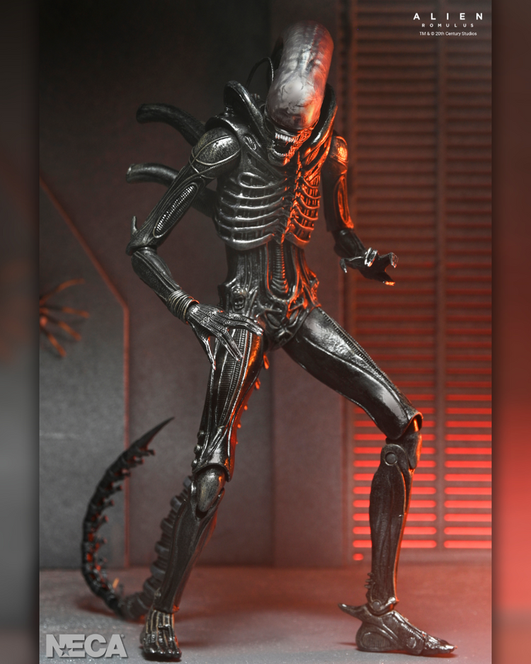 Alien: Romulus - Deluxe Suspended Lab Xenomorph XX121 7" Scale Action ...
