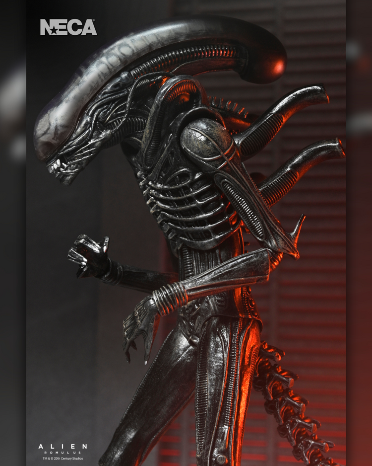 Alien: Romulus - Ultimate Xenomorph XX121 7" Scale Action Figure – NECA