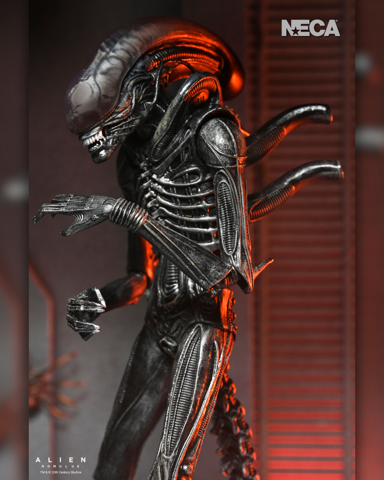 Alien: Romulus - Ultimate Xenomorph XX121 7" Scale Action Figure – NECA