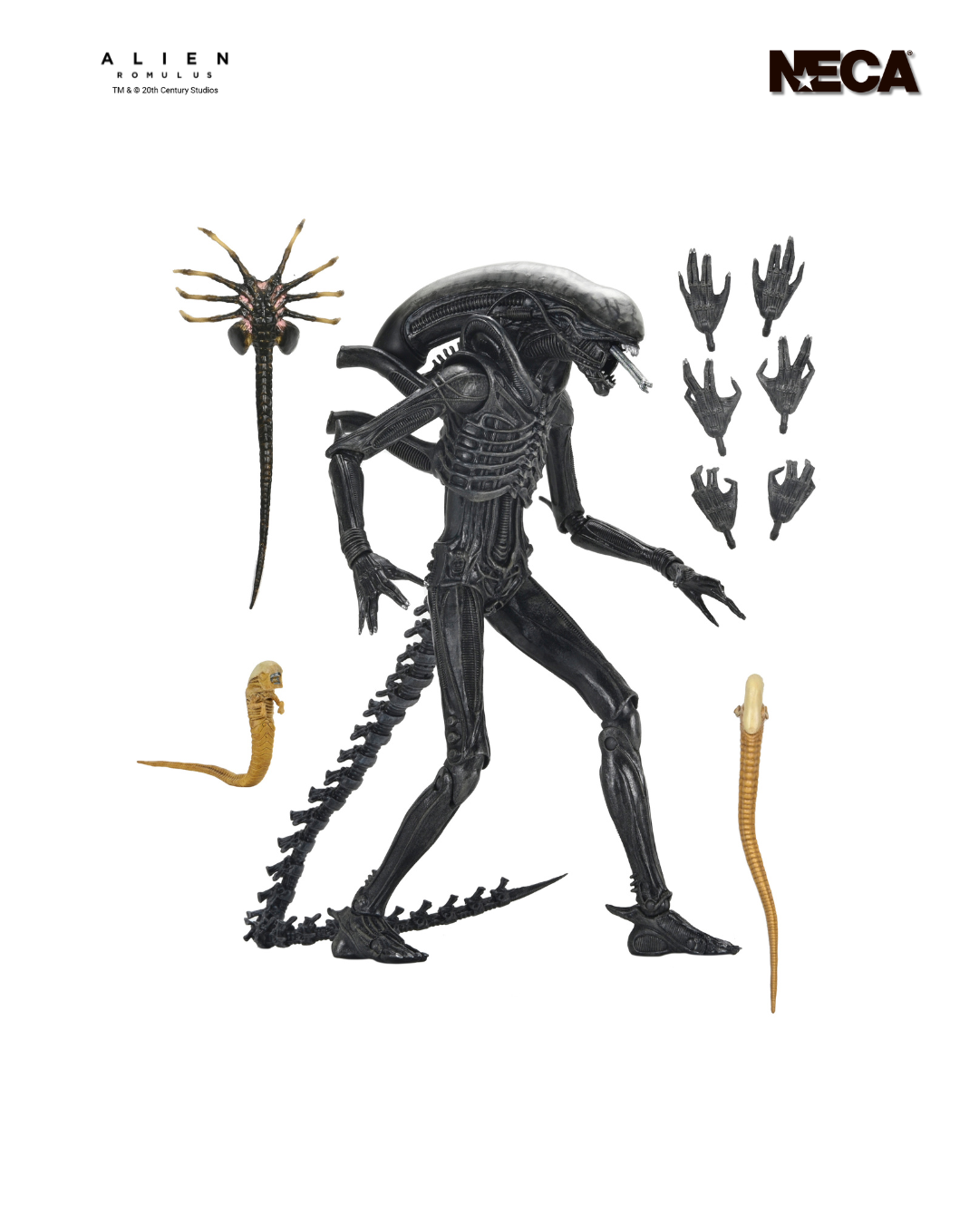 Alien: Romulus - Ultimate Xenomorph XX121 7" Scale Action Figure – NECA