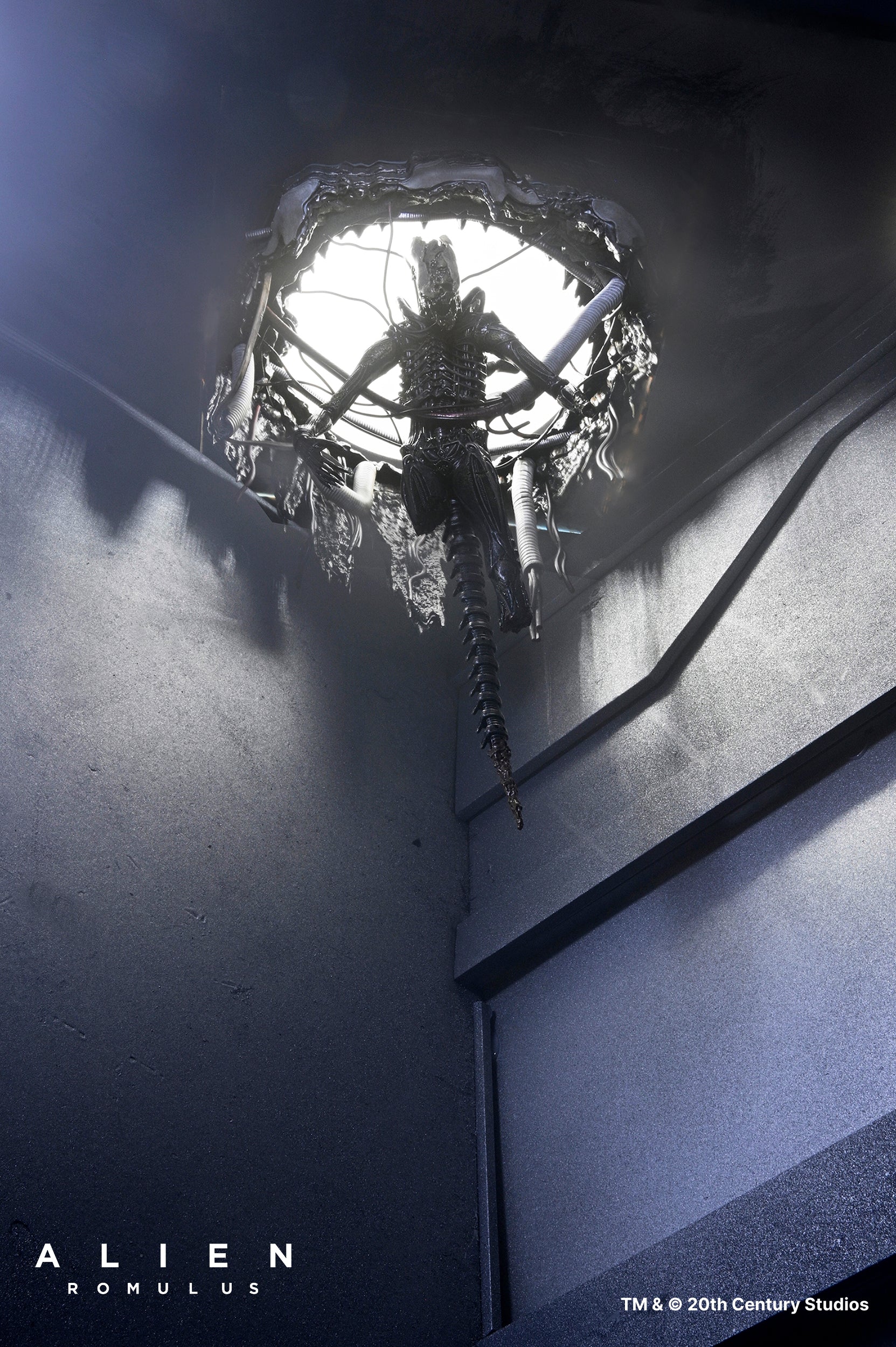 Alien: Romulus - Deluxe Suspended Lab Xenomorph XX121 7" Scale Action ...