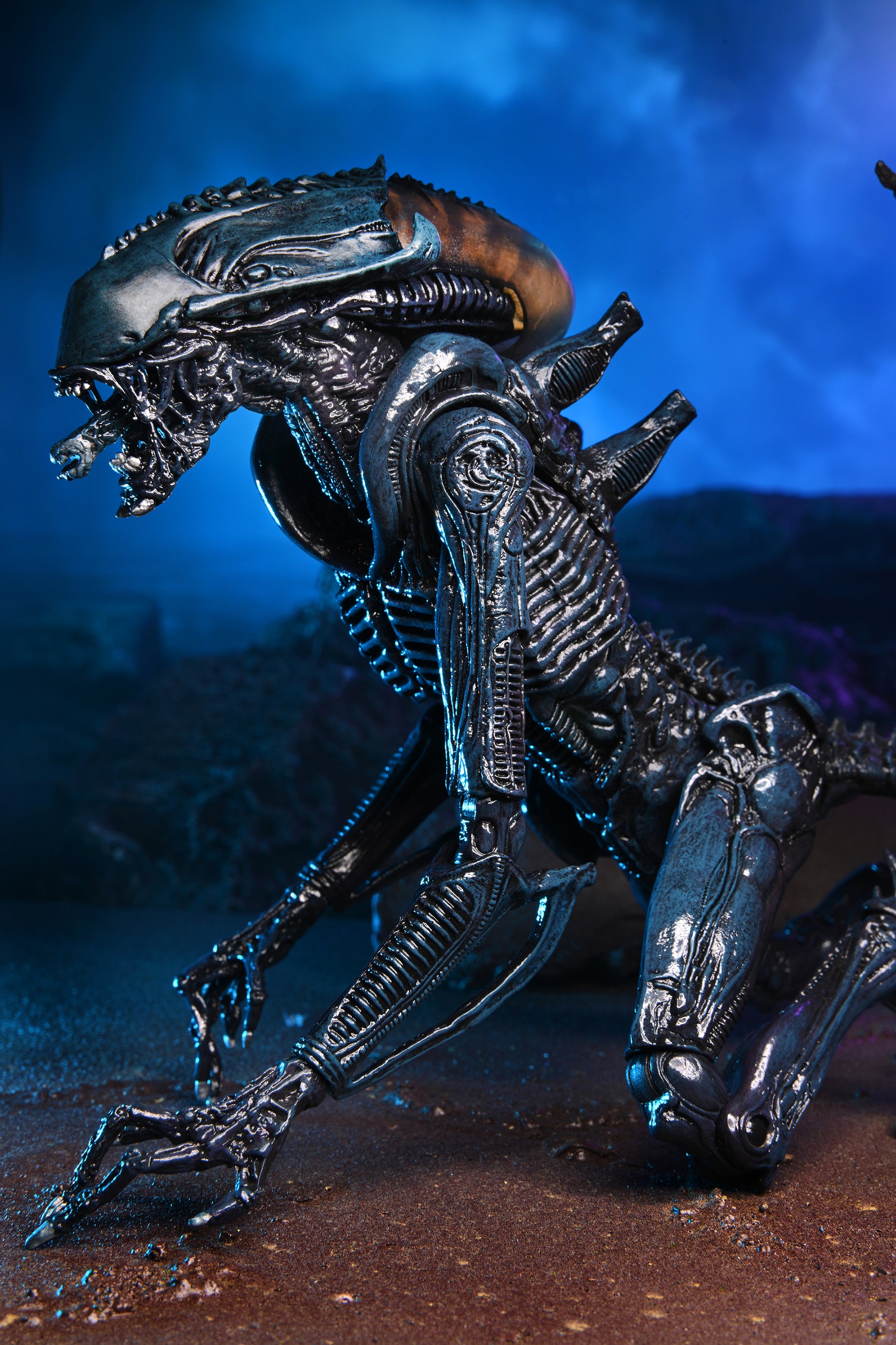 Alien vs Predator - Arachnoid Alien 7" Scale Action Figure (Movie Deco ...