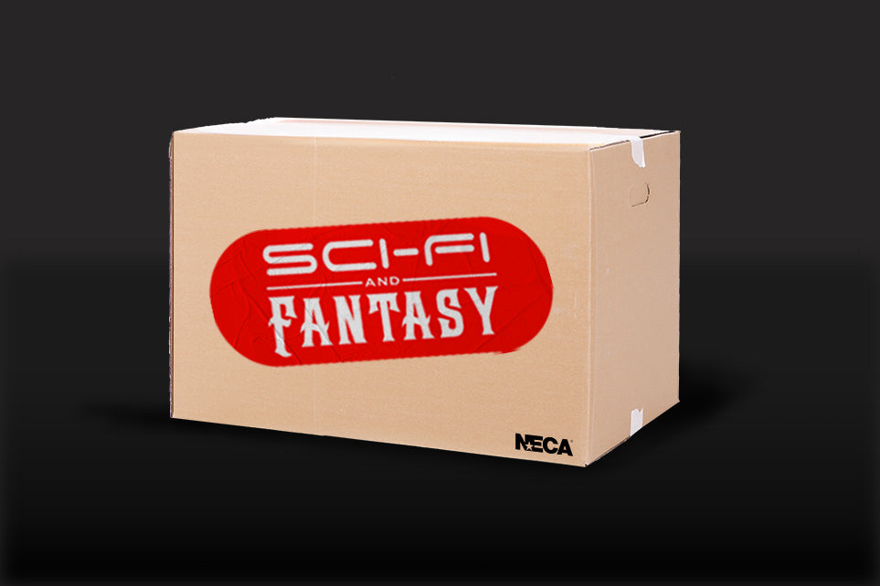NECA Blind Box