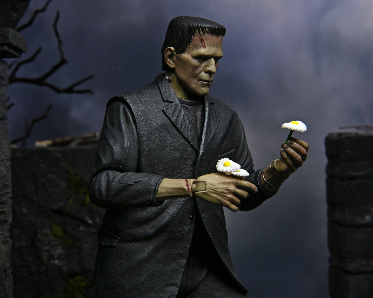 Universal Monsters Ultimate Bundle - Frankenstein – NECA