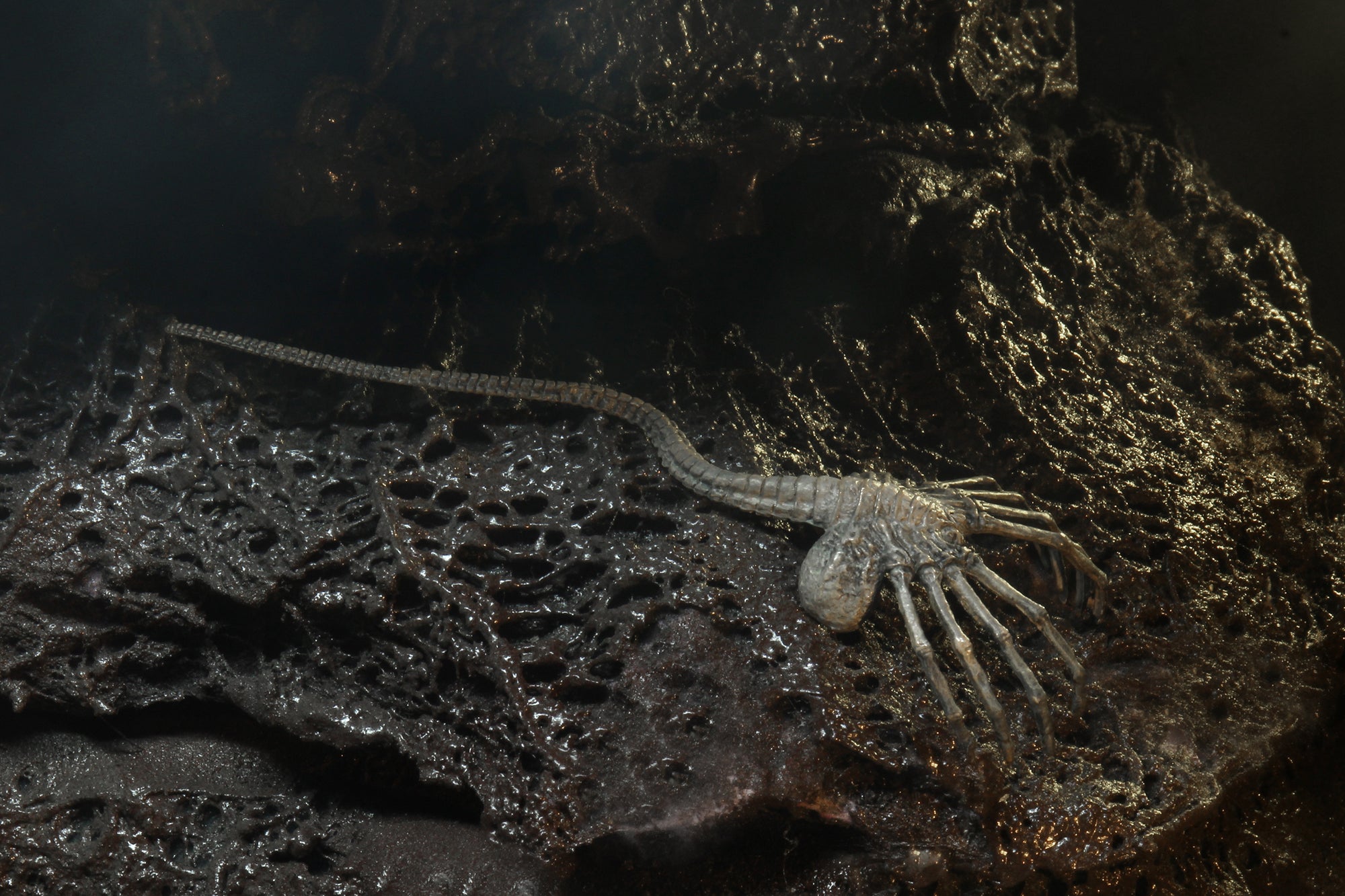 Alien - 40th Anniversary Asst 4 Giger-inspired Alien 7” Scale Action F ...