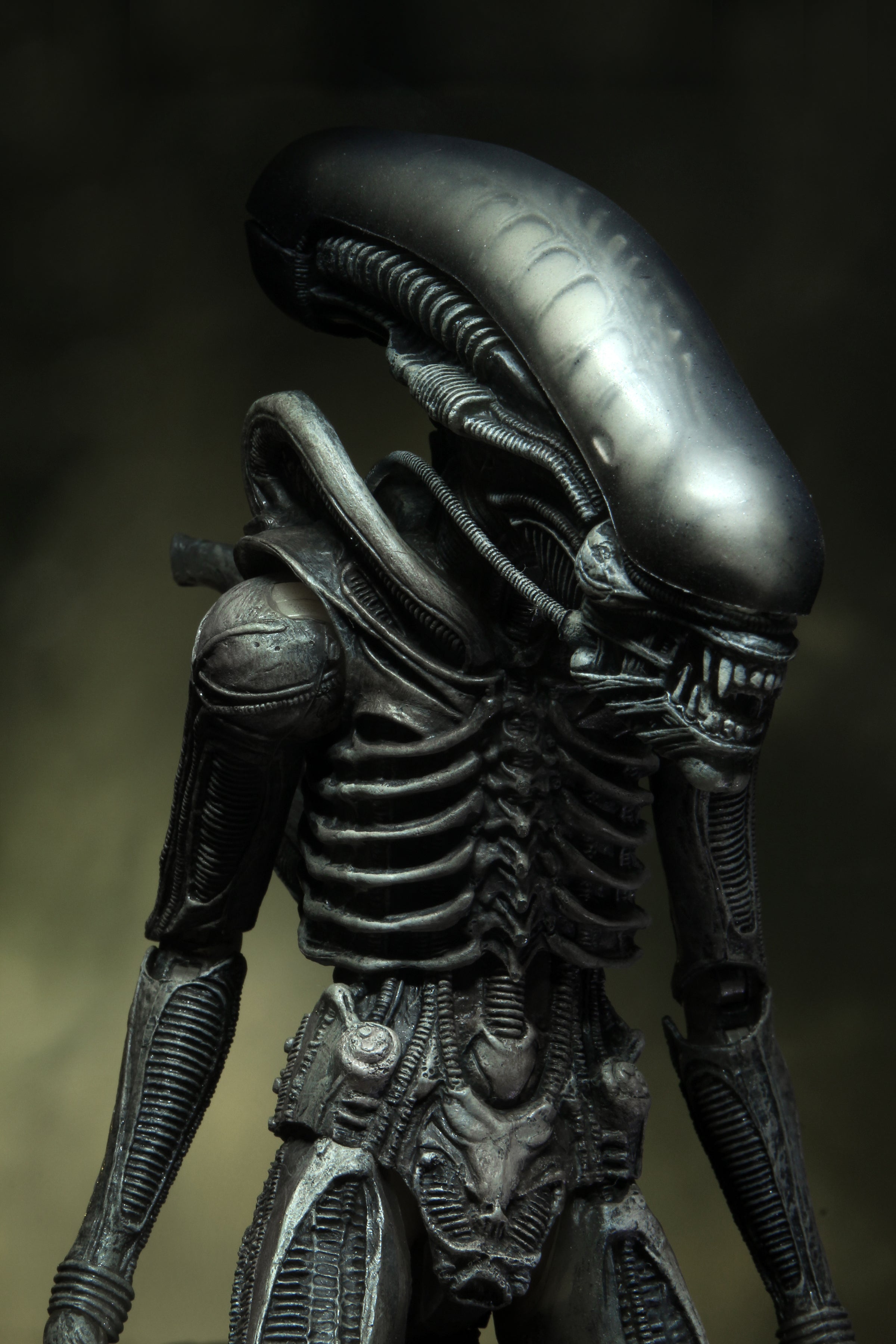 Alien - 40th Anniversary Asst 4 Giger-inspired Alien 7” Scale Action F ...
