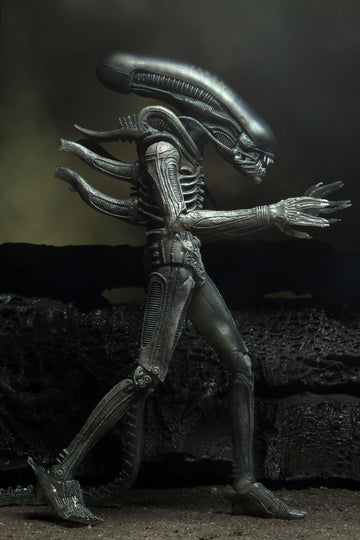 Alien Collection – NECA