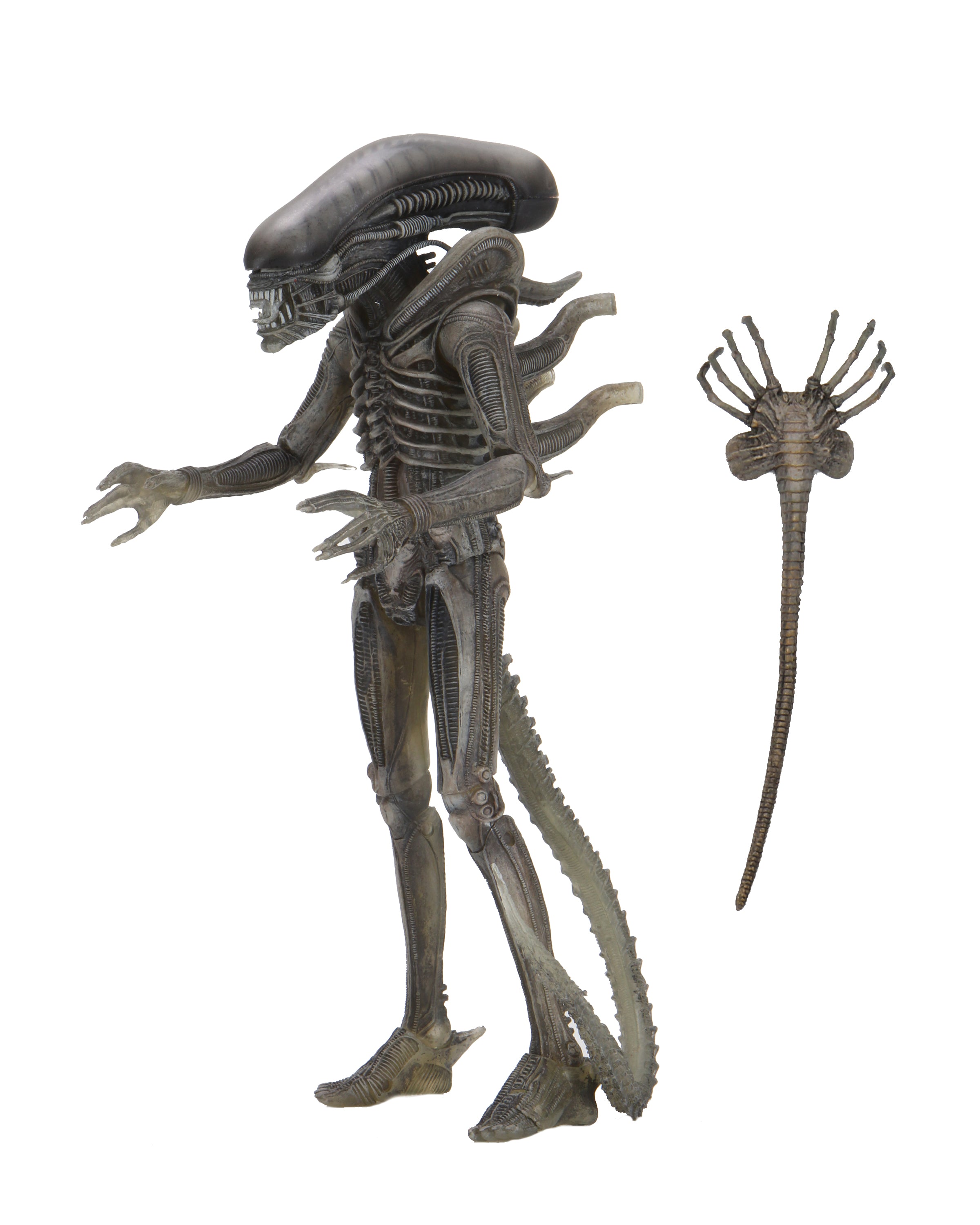 Alien - 40th Anniversary Asst 4 Giger-inspired Alien 7” Scale Action F ...