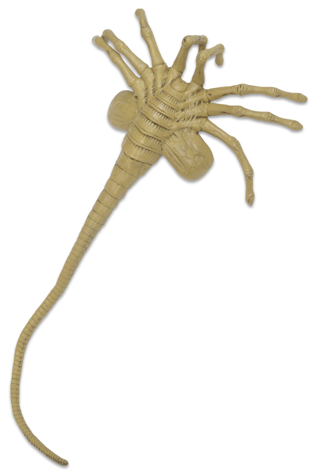 Alien - Facehugger Life-Size Foam Replica – NECA