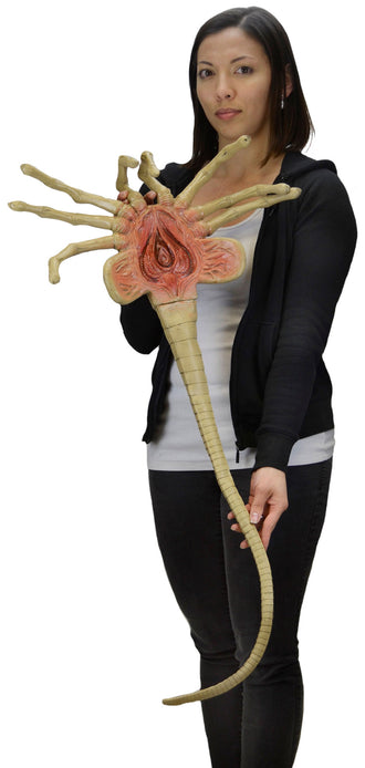 Alien - Facehugger Life-Size Foam Replica – NECA