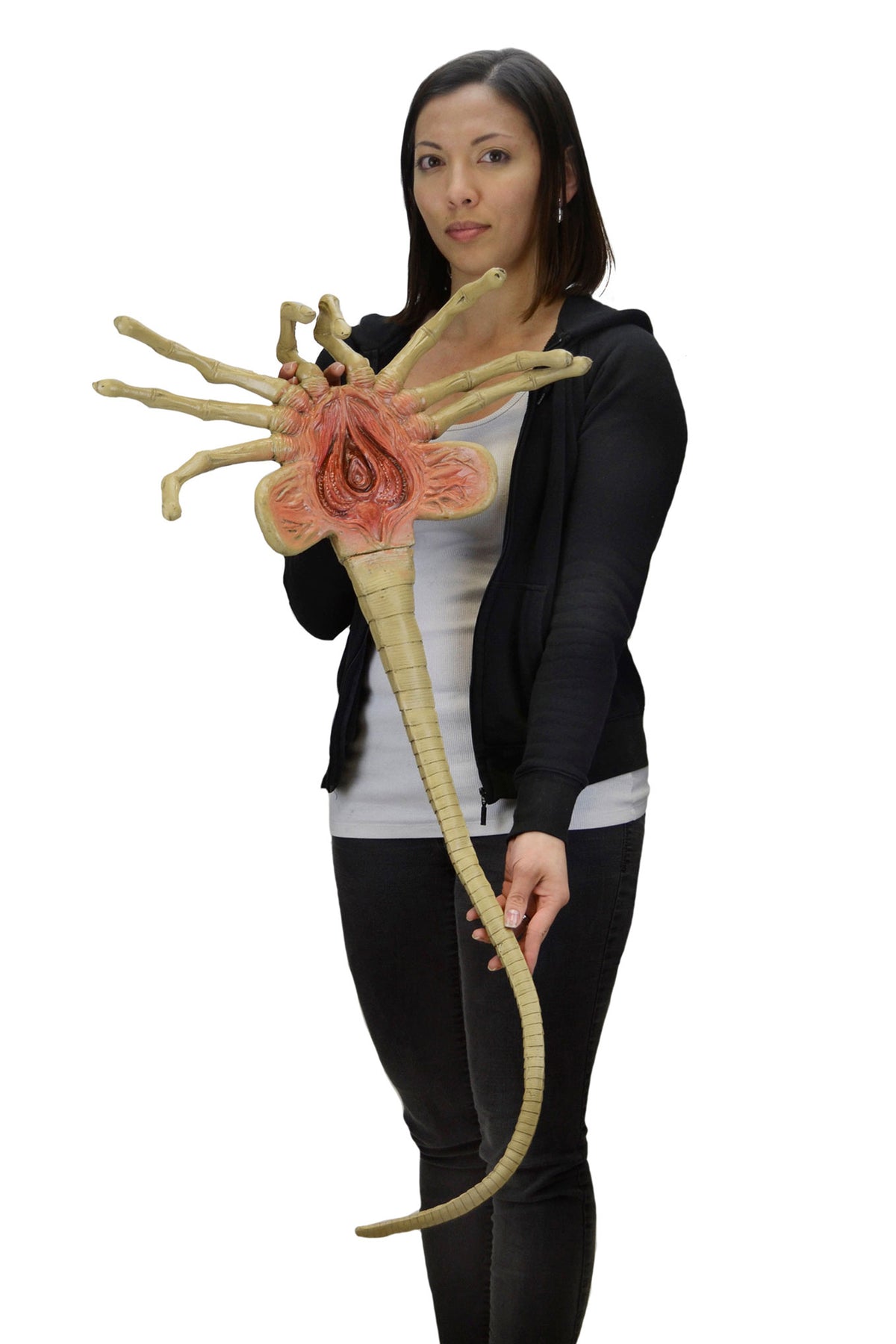 Alien Facehugger Life Size Foam Replica Neca