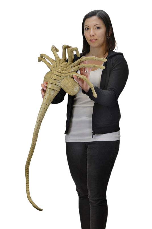Alien - Facehugger Life-Size Foam Replica – NECA