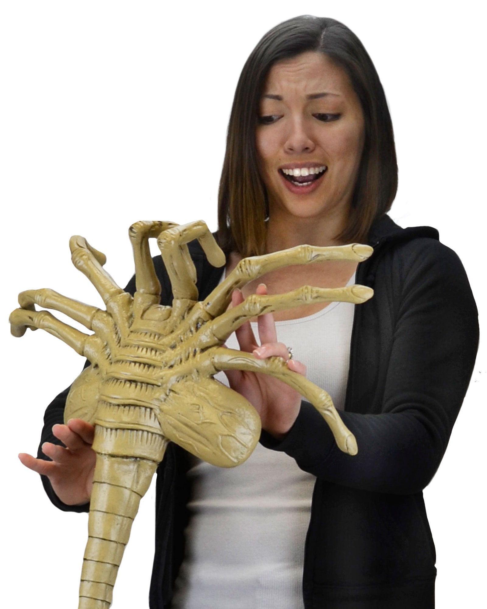Alien - Facehugger Life-Size Foam Replica – NECA
