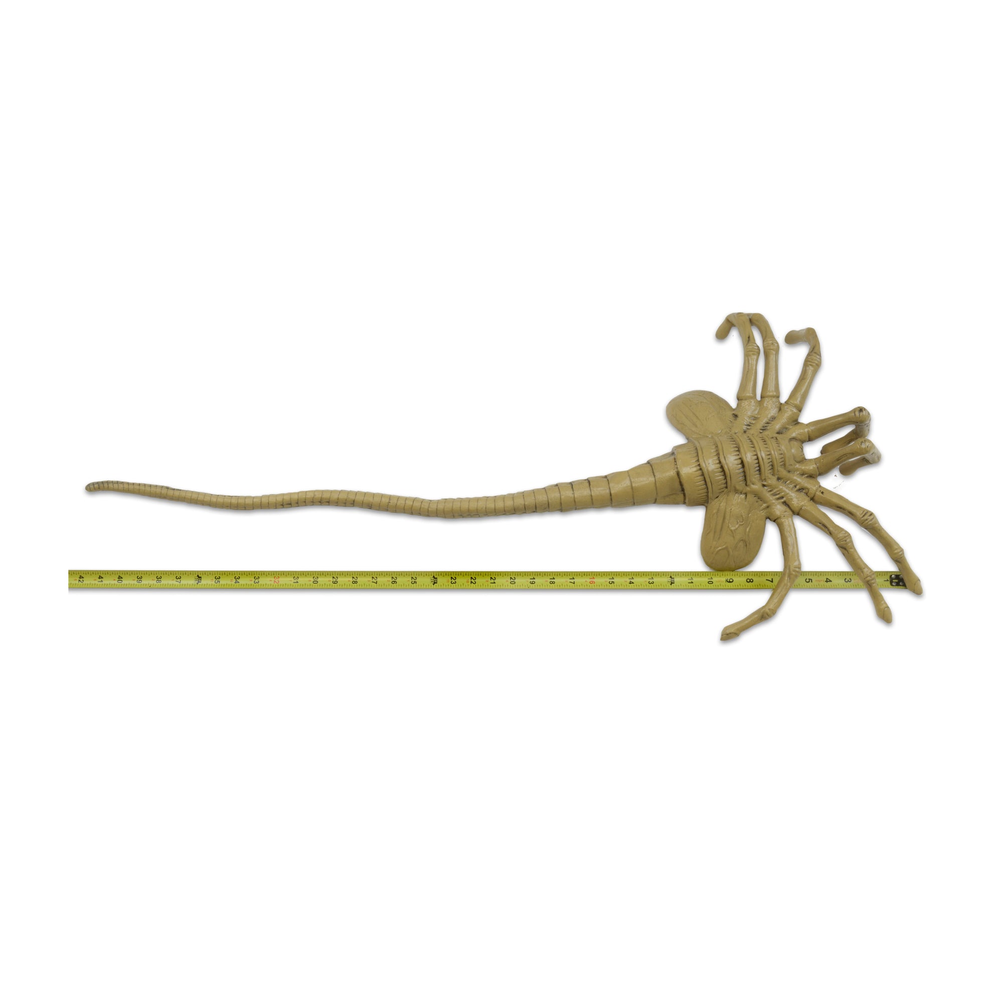Alien - Facehugger Life-Size Foam Replica – NECA